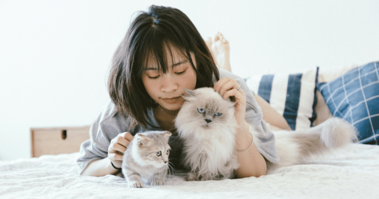 Animal Therapy - Boost Mental Health with Pets