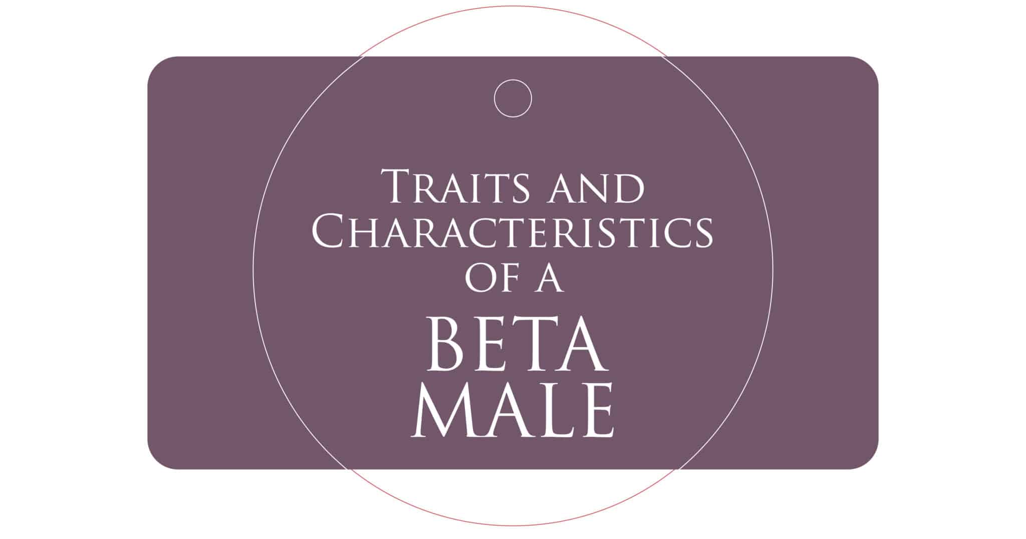Beta Male Traits: Key Personality Insights & Characteristics