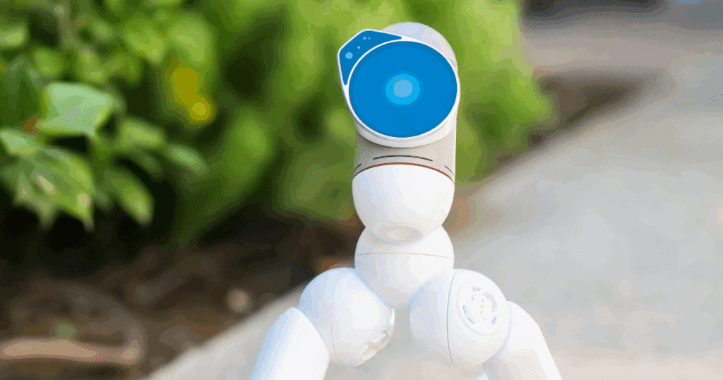 Automatonophobia: Understanding Fear of Lifelike Figures